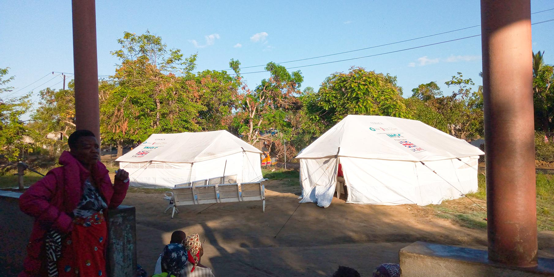 Detectado aumento de doenças transmitidas por vectores e roedores em ...