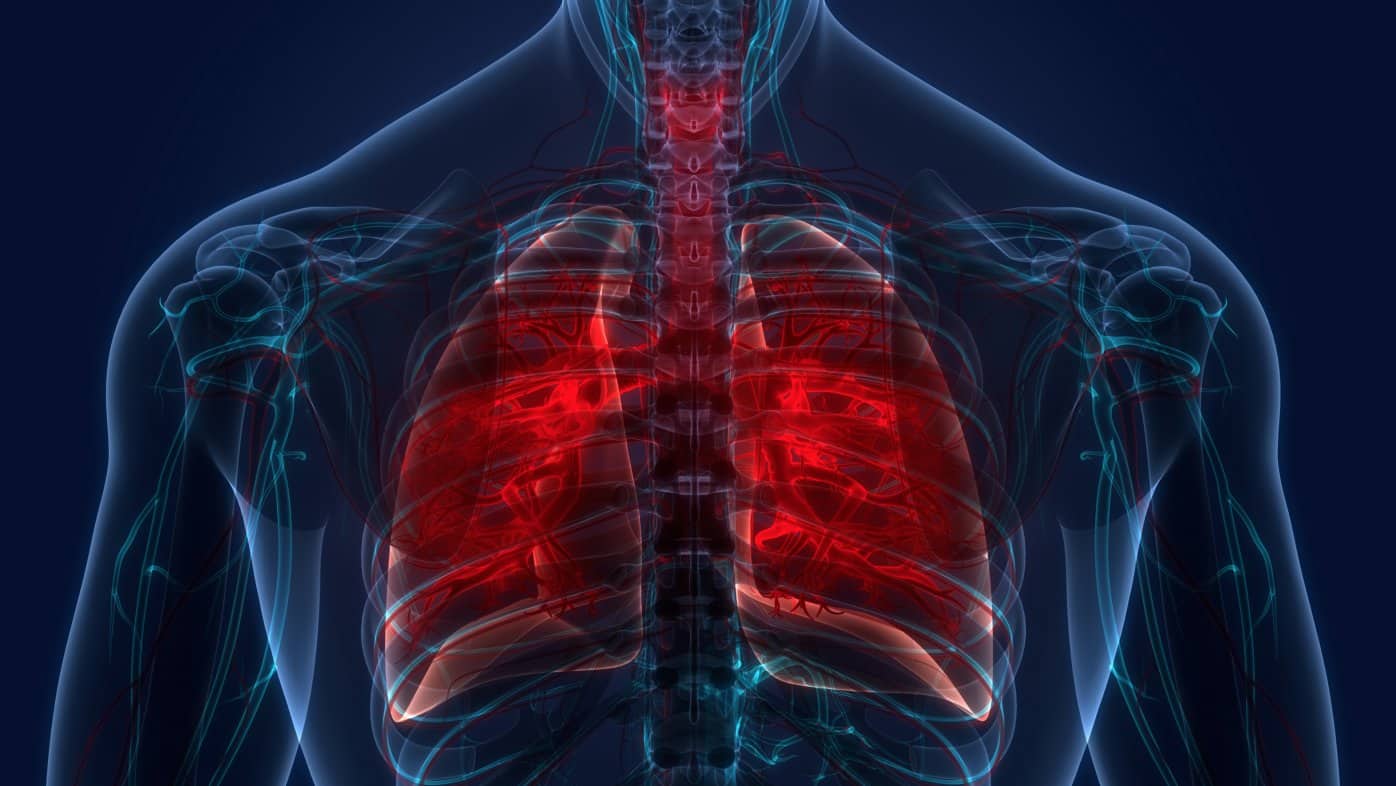 Identificada alternativa para monitoria do tratamento da TB em ...